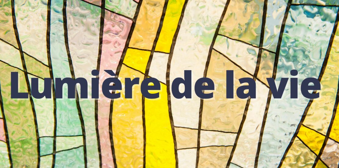 Lumière de la vie