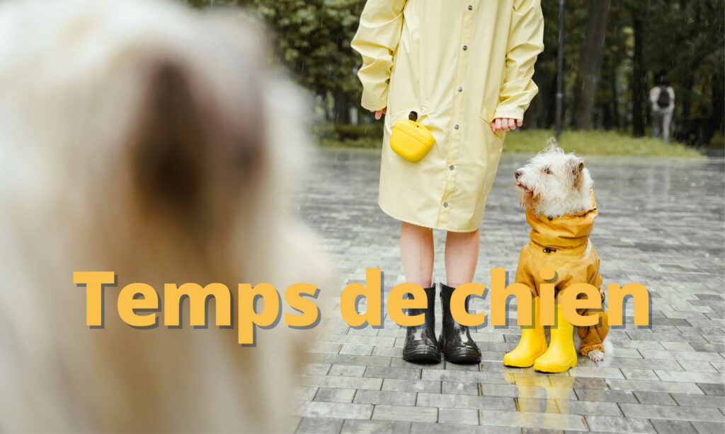 Temps de chien